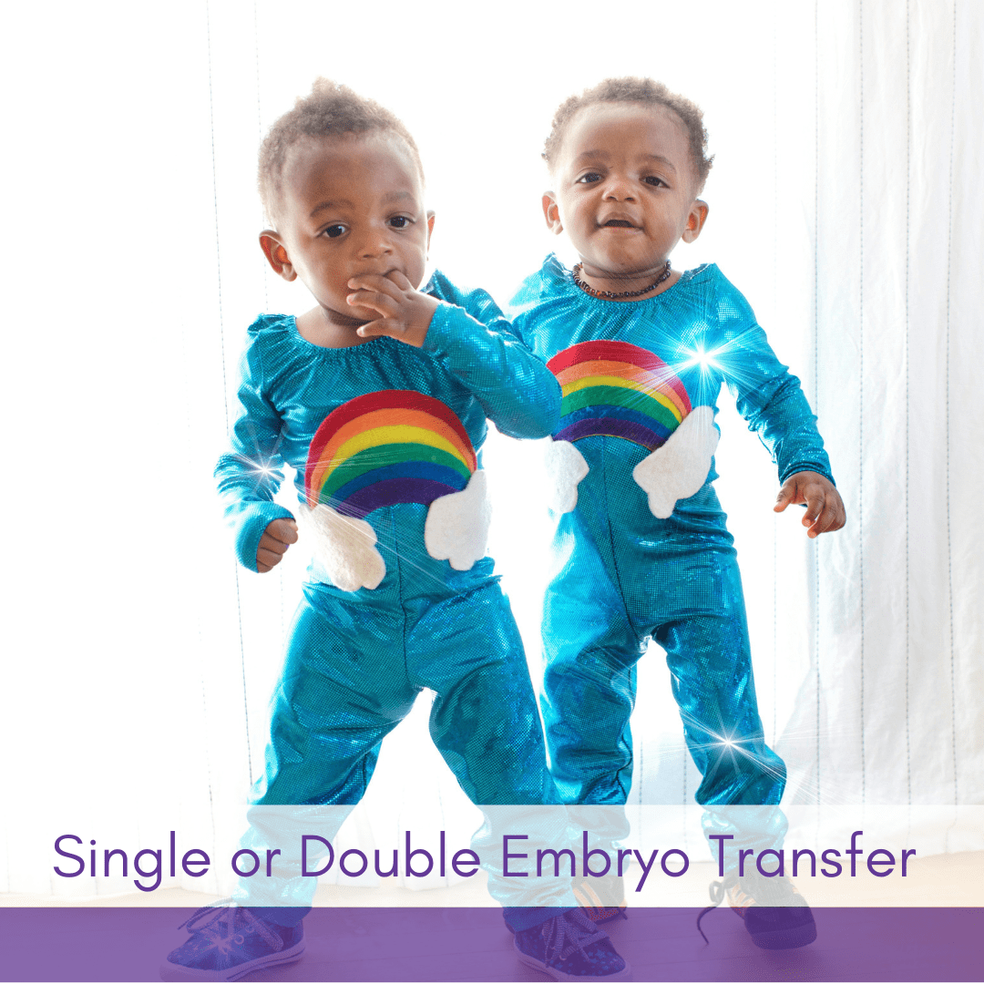 How Many Embryos Should We Transfer? | SET vs. DET - Heartland Surrogacy