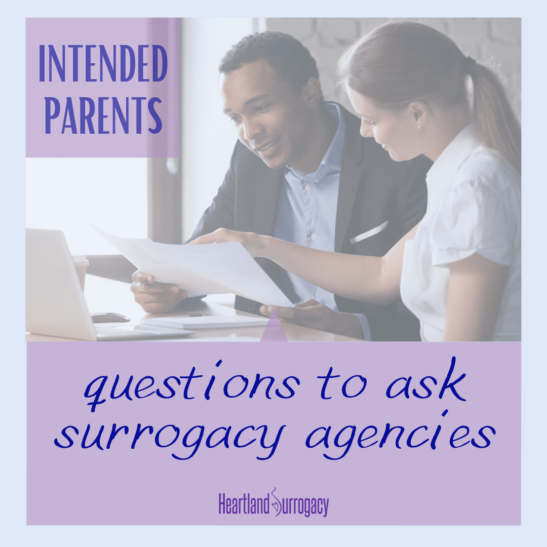 Questions For Surrogacy Agencies | Surrogacy Services For Intended ...