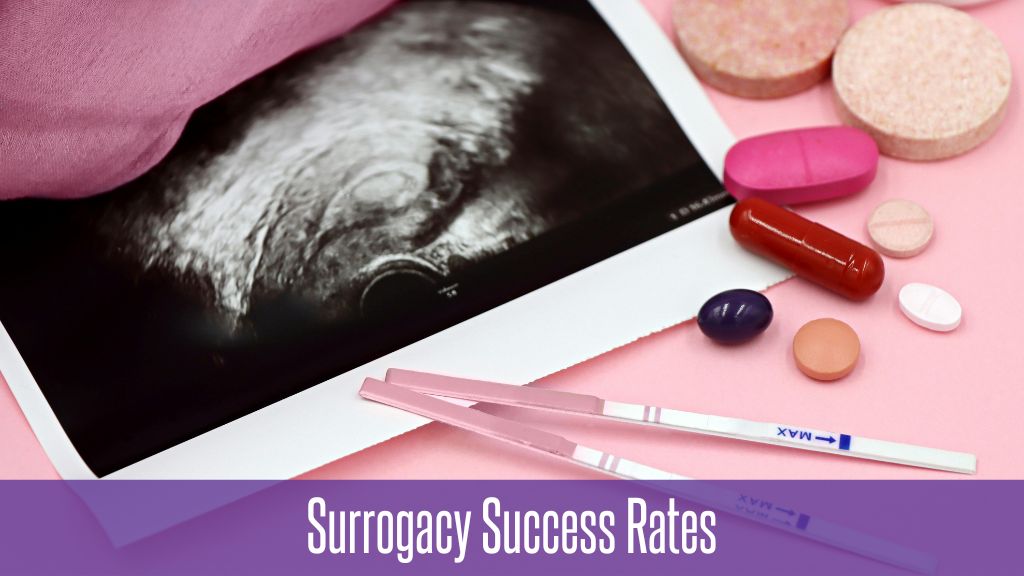Surrogacy Success Rates | What You Can Expect Today
