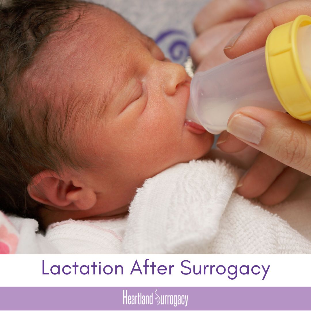Lactation After Surrogacy | Options For Intended Parents